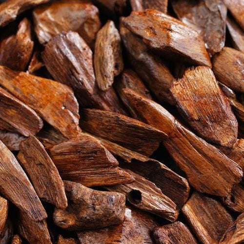 Oud Perfumes – Infuse Fragrances